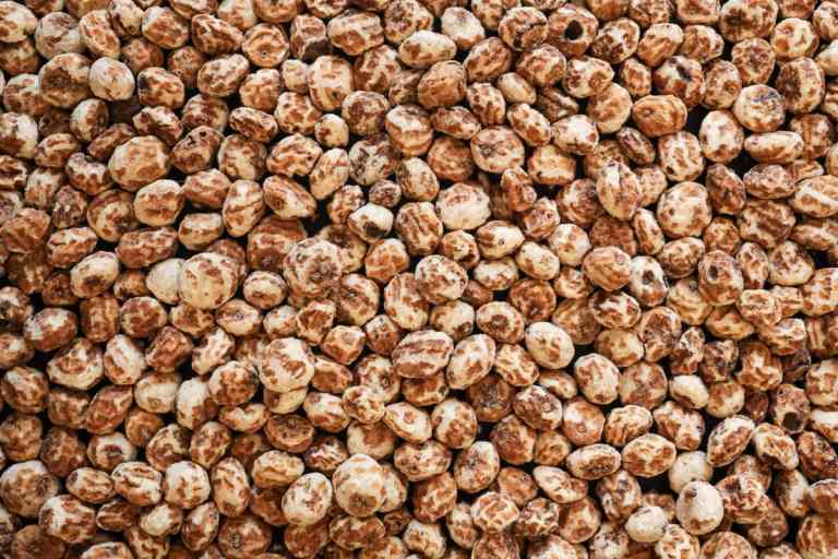 Gerstenmehl - Die Brotschafterin