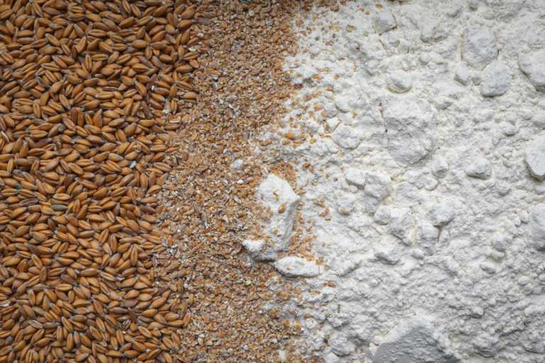 Mehle mischen - Die Brotschafterin