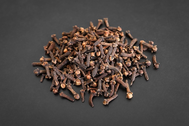 Masalas - Die Brotschafterin